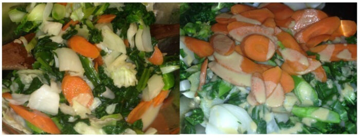 The Diet of the Shaolin Monks - Pangea Biotecture